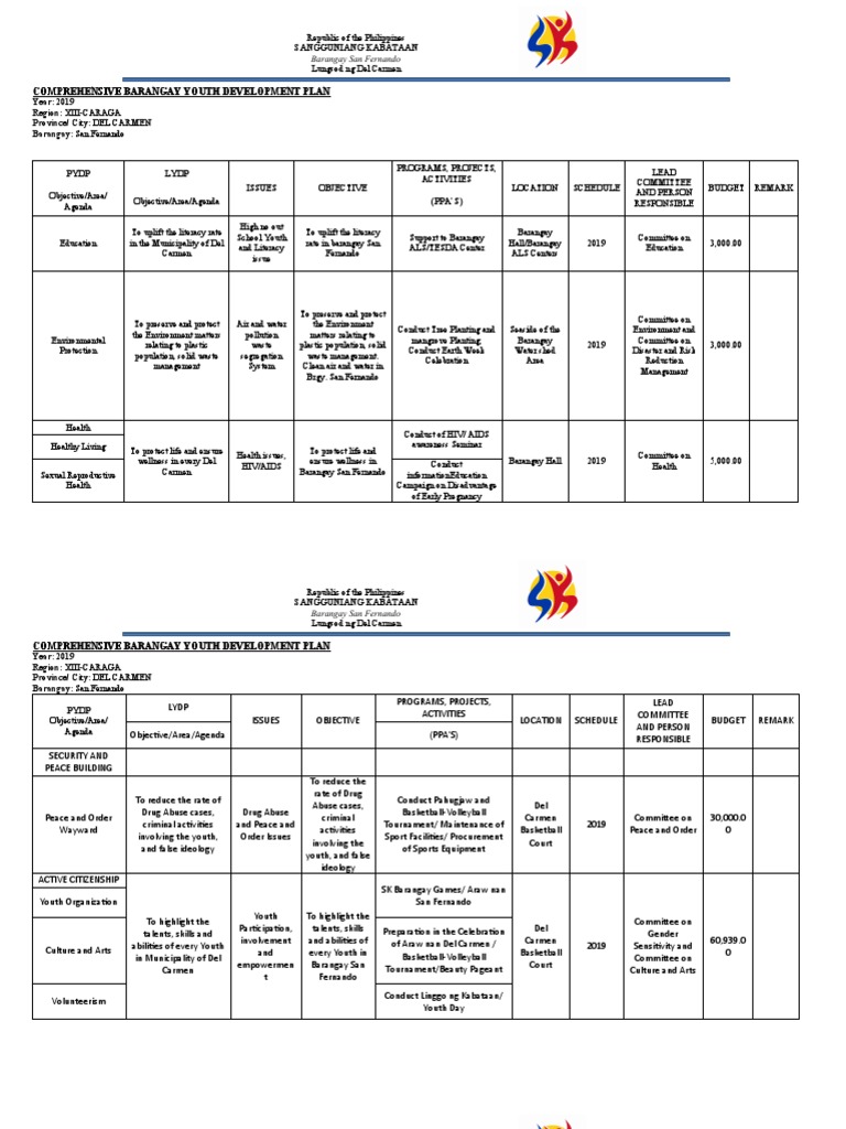 Comprehensive Barangay Youth Development Plan | PDF | Policy | Wellness