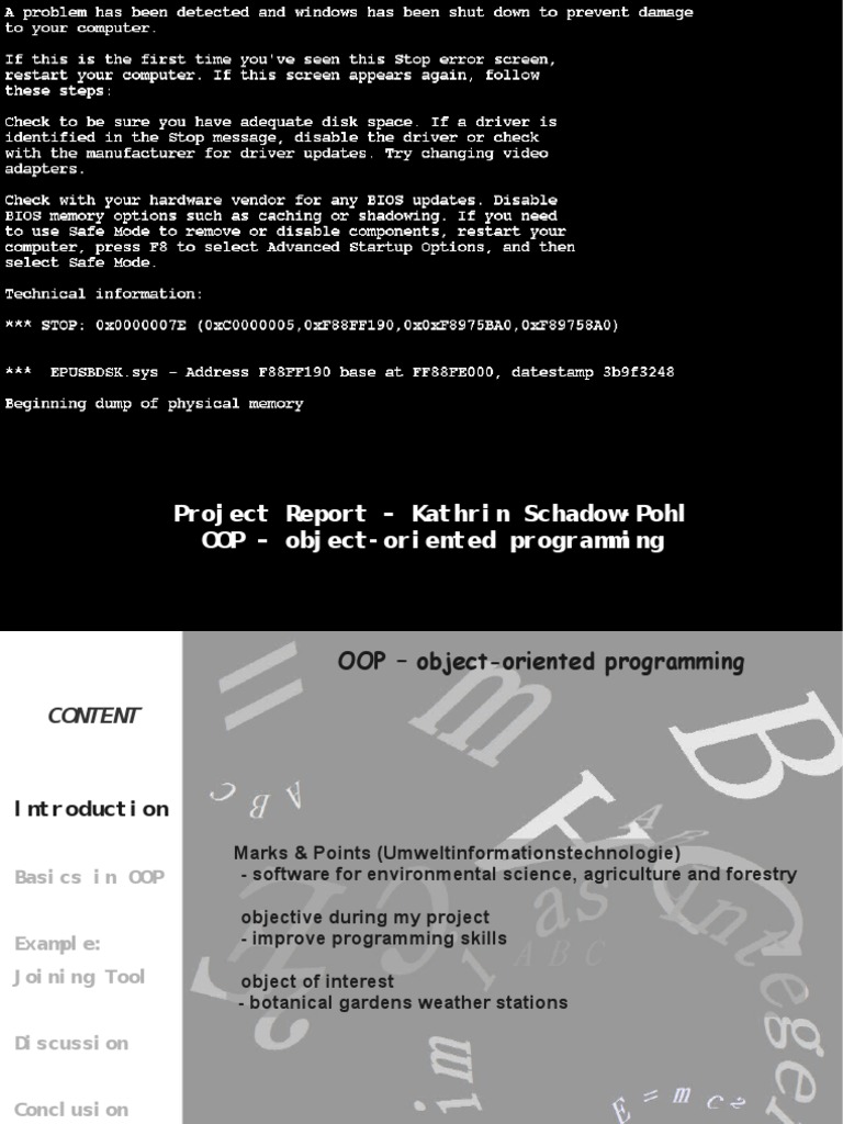 Raport Oop Pdf Object Oriented Programming Object Computer Science