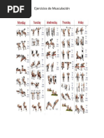 Rutina Semanal de Gym para Mujeres | PDF | Entrenamiento de fuerza ...