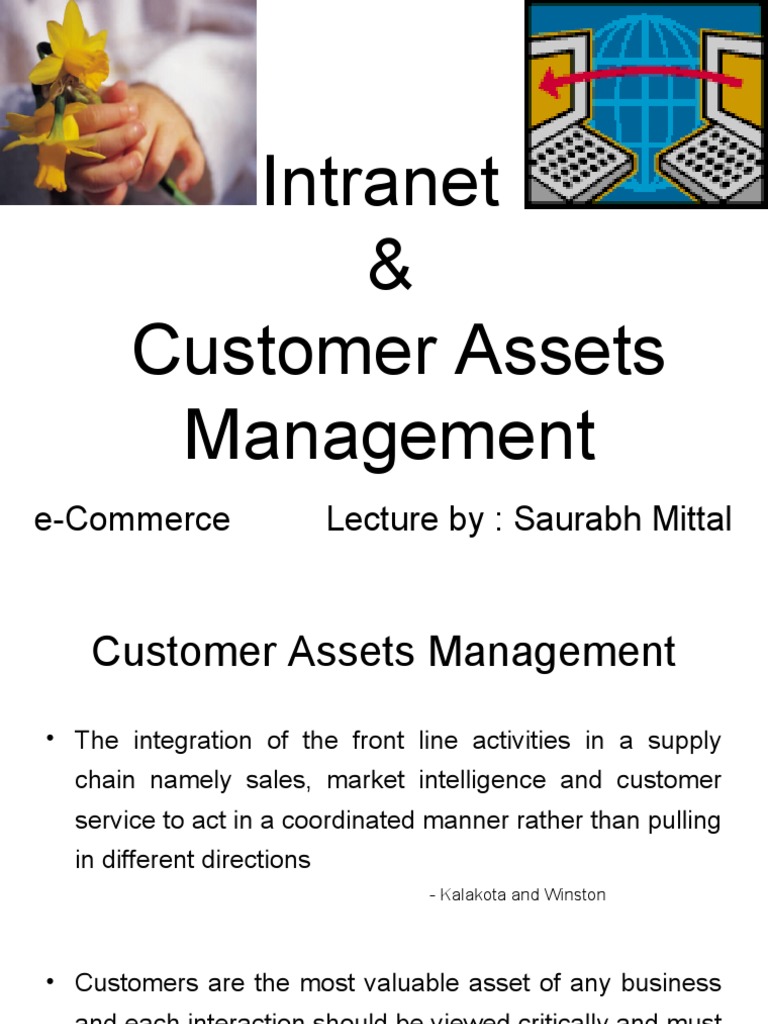 Customer Asset Management in E-Commerce | PDF | Sales | Supply Chain