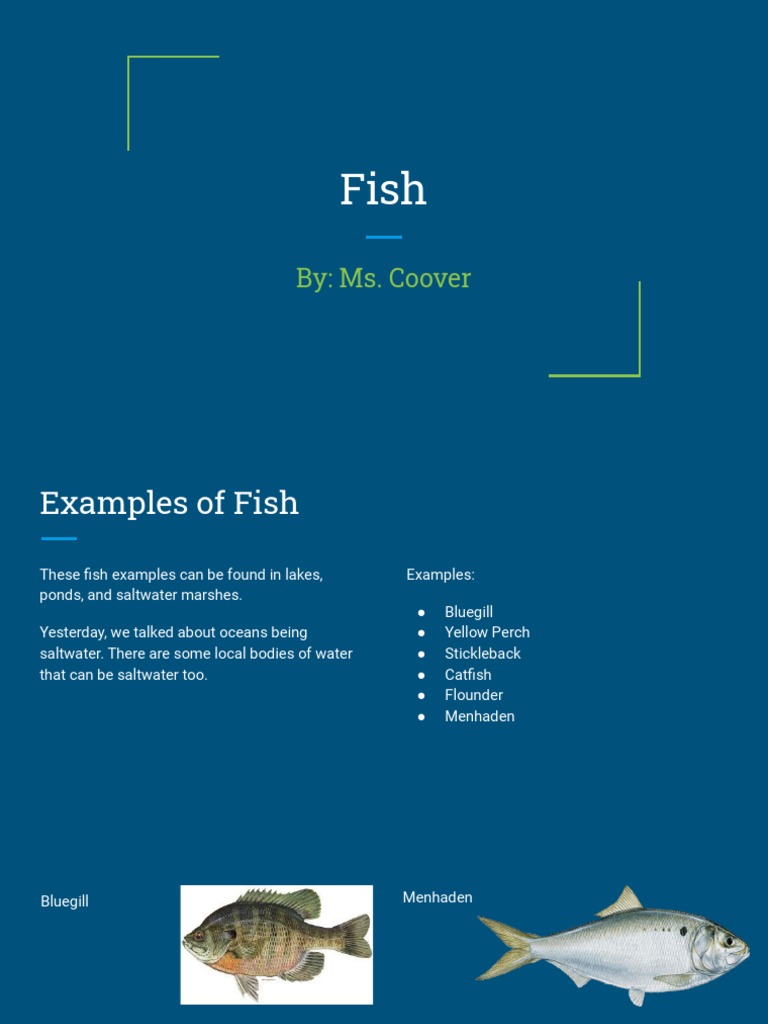 Fish | PDF