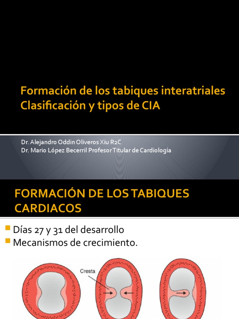 Formación de Los Tabiques Interatriales | PDF | Corazón | Sistema ...