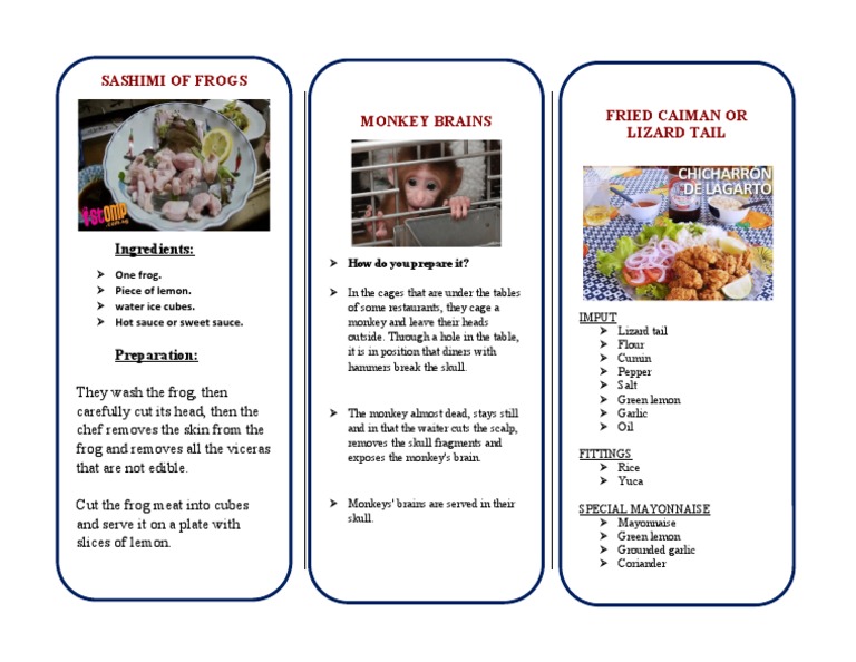 Sashimi of Frogs Monkey Brains Fried Caiman or Lizard Tail: Ingredients ...