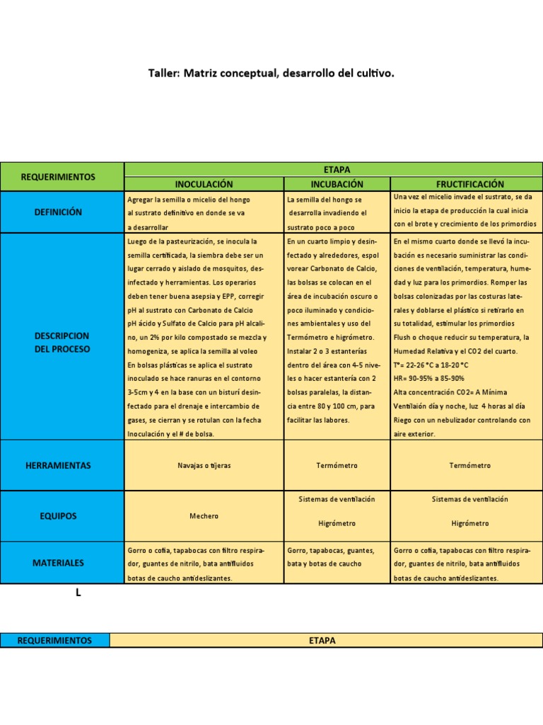 Matriz Conceptual | PDF | Naturaleza