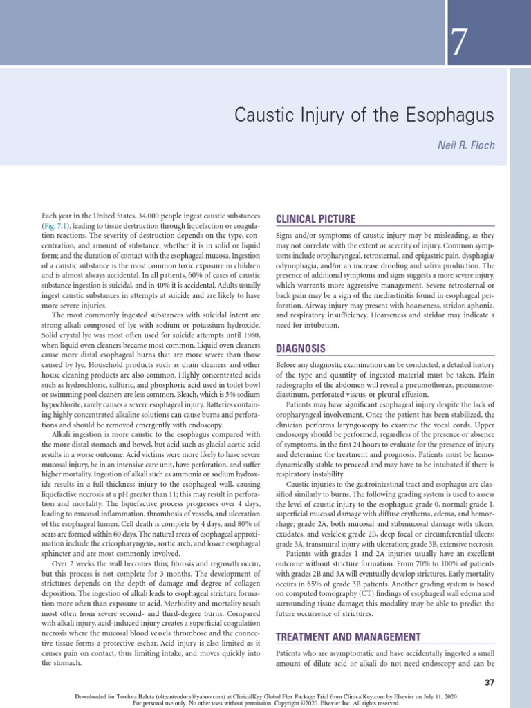 Caustic Injury of The Esophagus PDF | PDF | Esophagus | Endoscopy