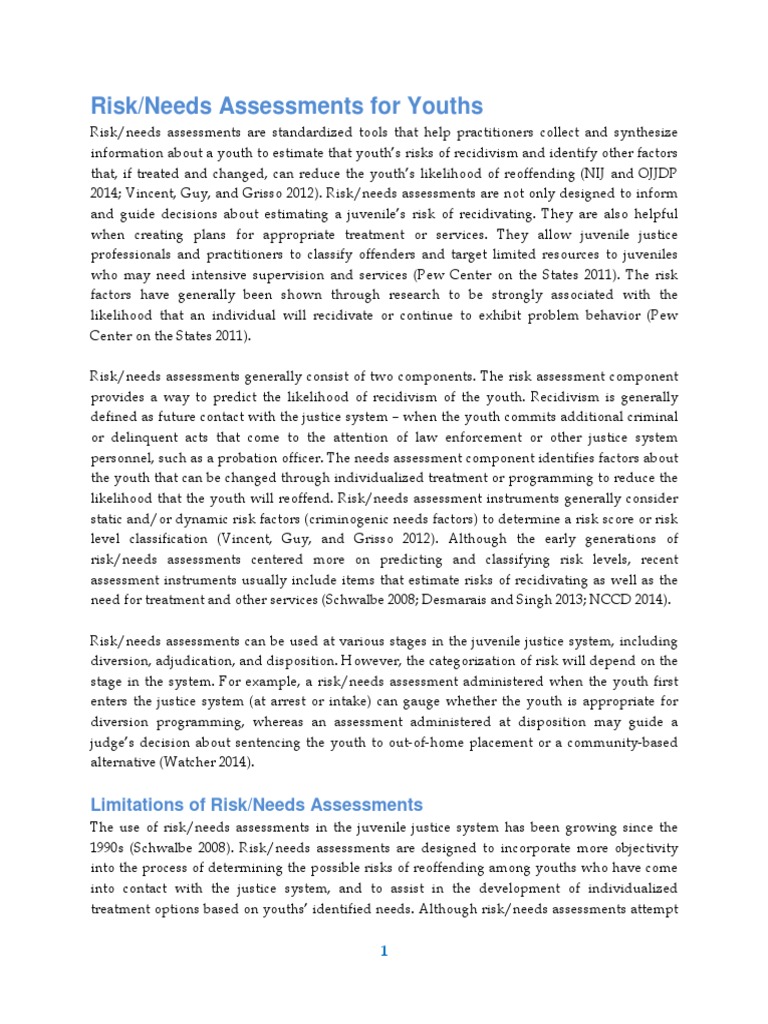 Needs Risk Assessment | PDF | Juvenile Delinquency | Recidivism