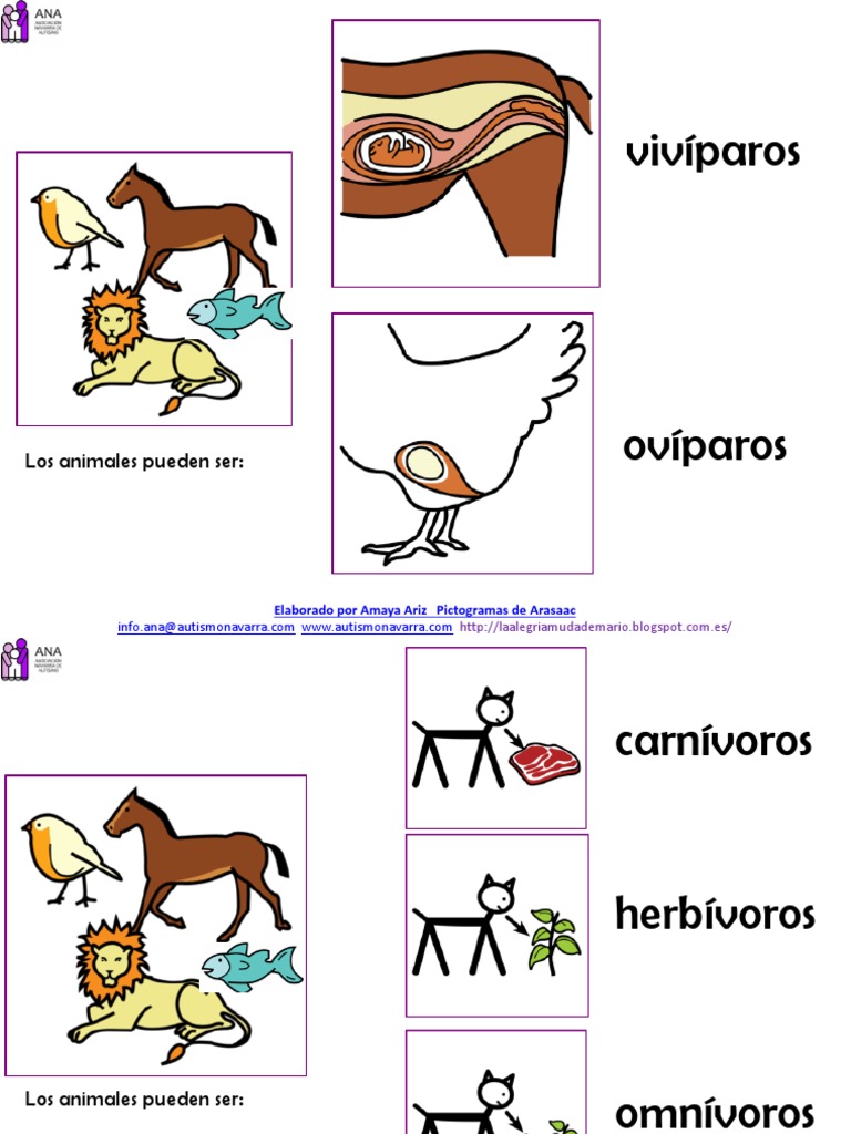 Animales 1º Primaria | PDF | Zoología | Organismos