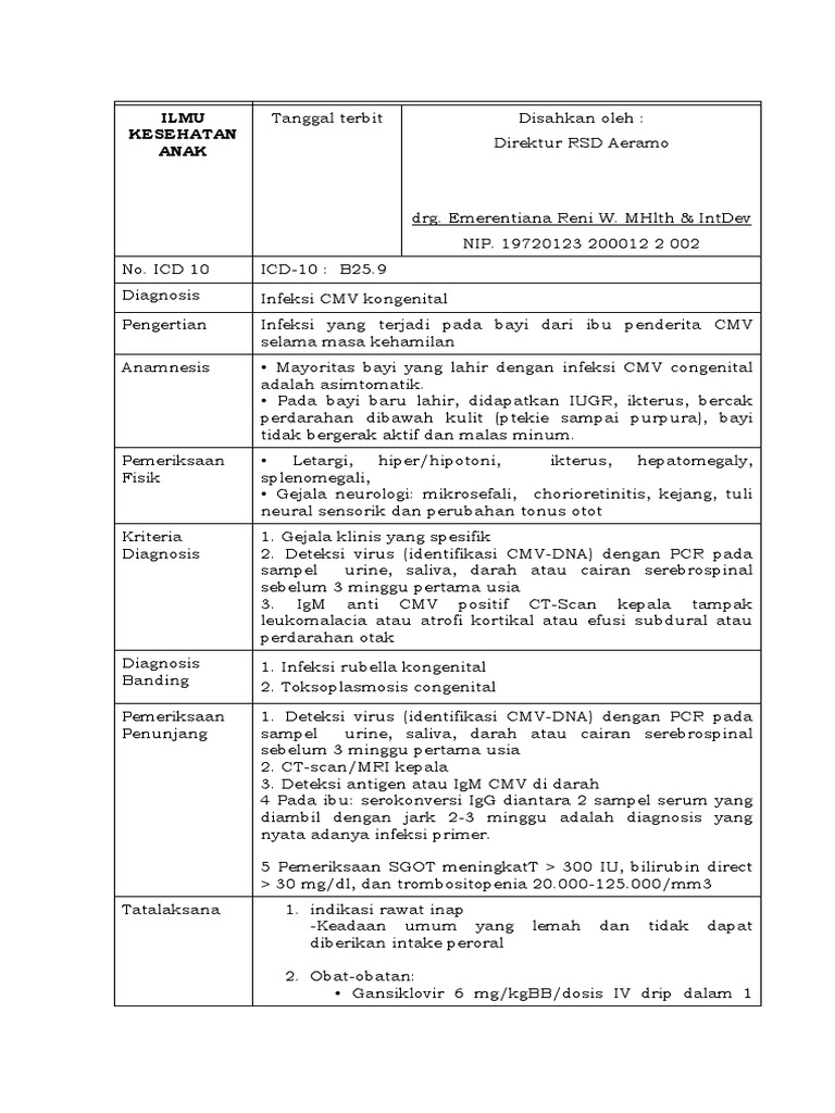 New PPK IKA - CMV | PDF