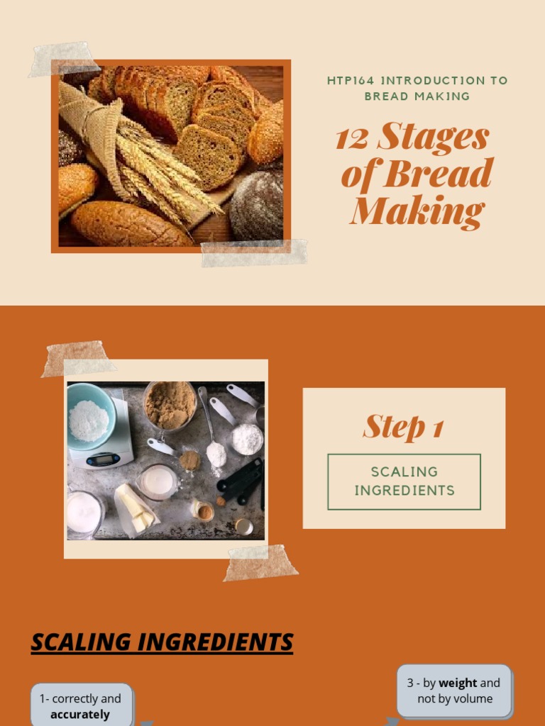 12 Stages of Bread Making Process | PDF | Breads | Dough