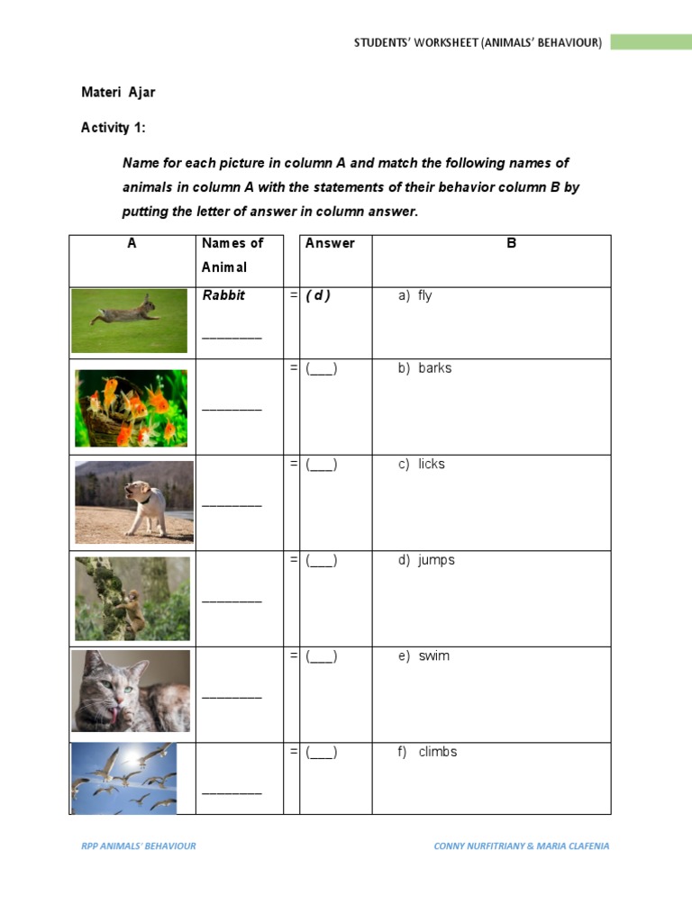 Animal Behavior Worksheets Middle School Animal Behavior Worksheets