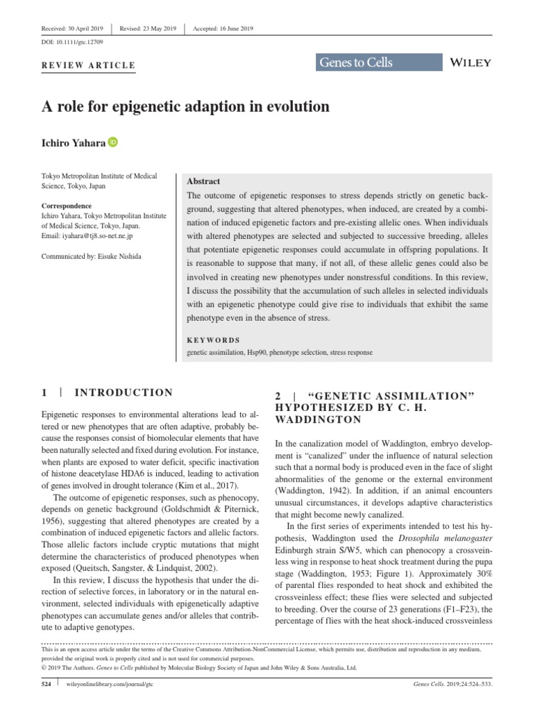 A Role For Epigenetic Adaption in Evolution: Genes To Cells | PDF ...