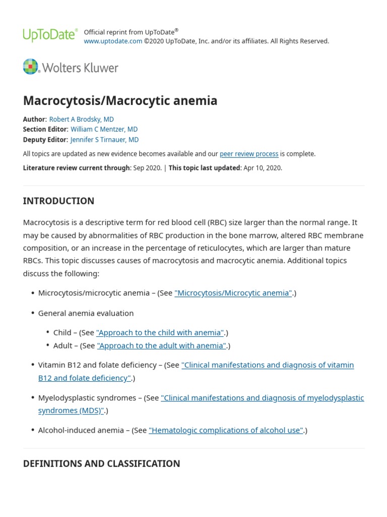 Macrocytic Hypochromic Anemia Slide Observations