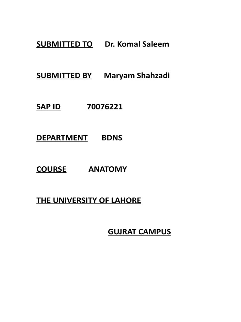 Anatomy Assignment 4 | PDF