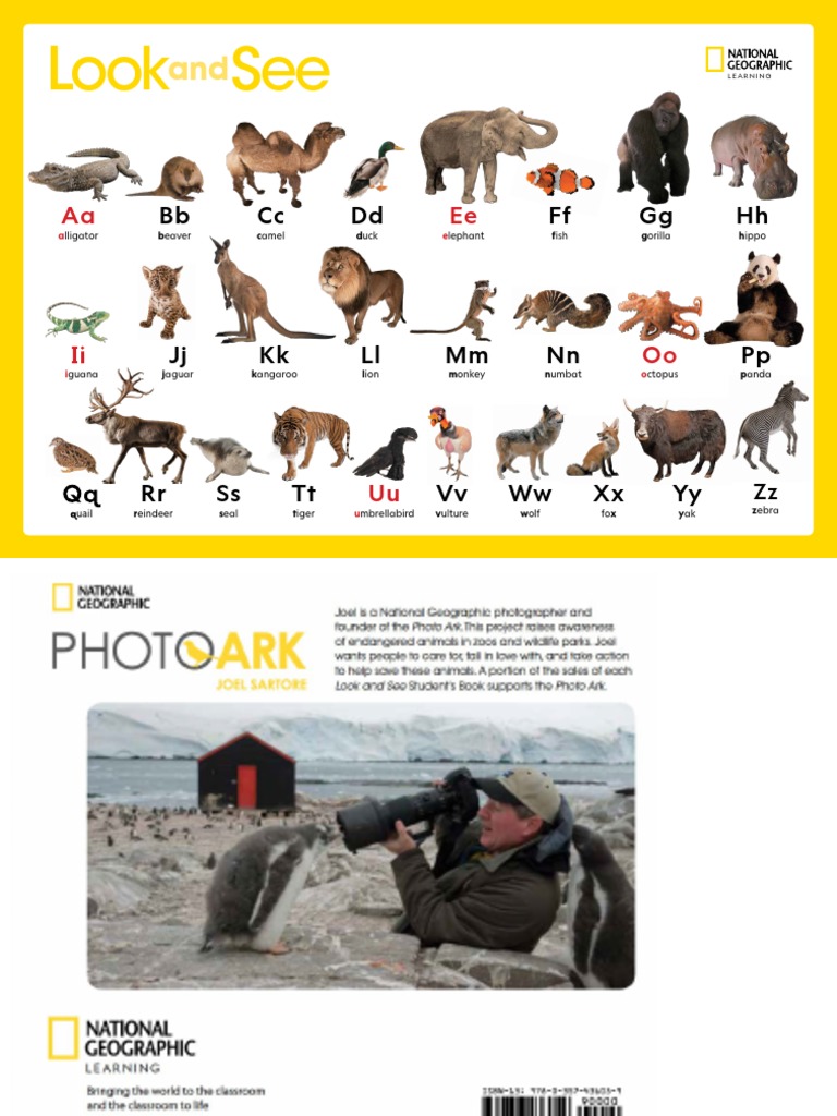 Animal Alphabet List for Kids | PDF