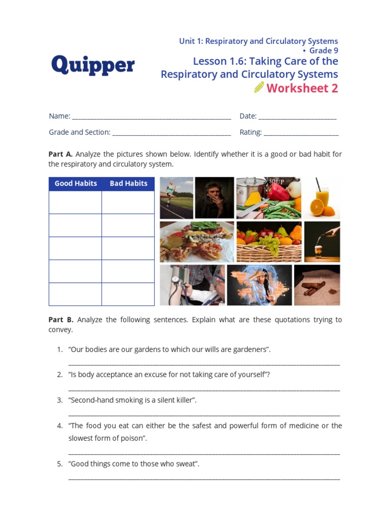 Science 9 1.6 Worksheet 2 | PDF