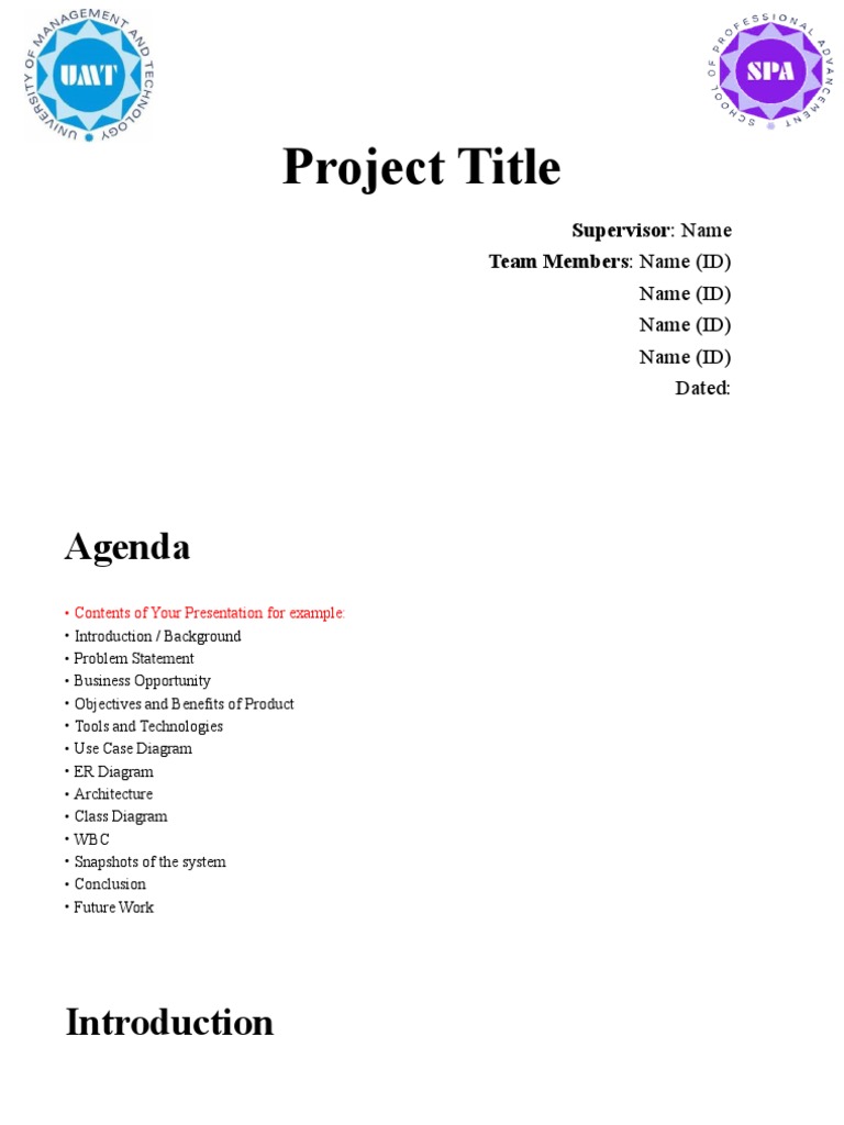 Project Presentation Agenda and Overview | PDF
