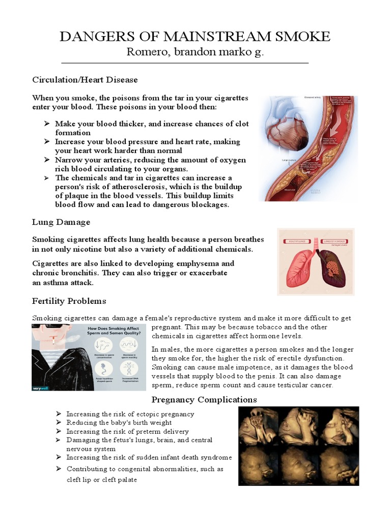 Dangers of Mainstream Smoke | PDF | Cigarette | Tobacco Smoking