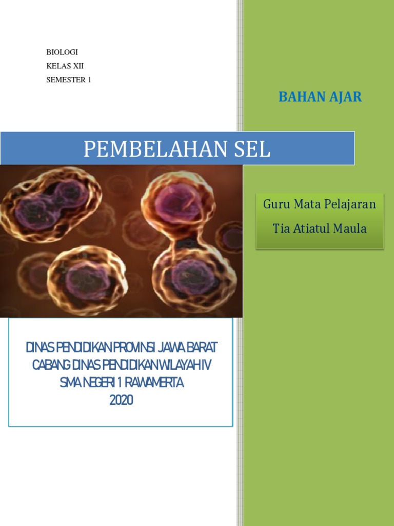 Handout Pembelahan Sel-Revisi | PDF