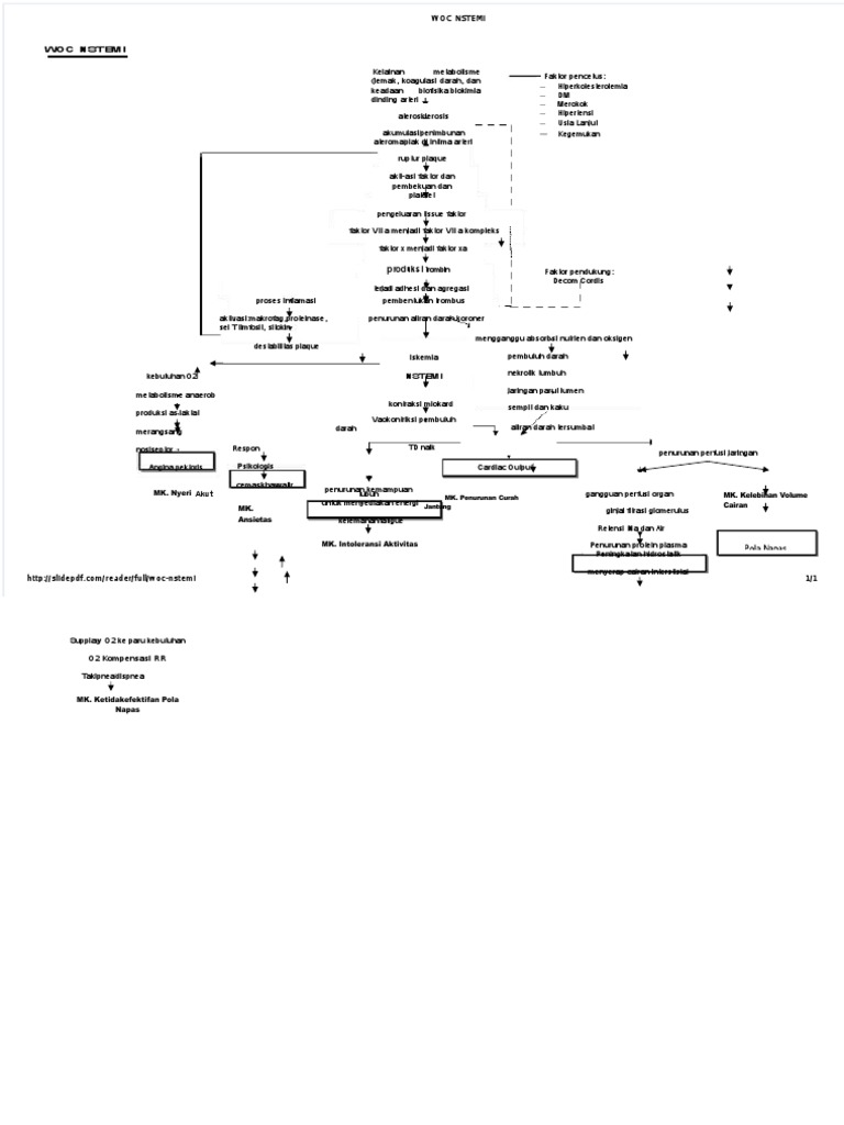 Woc Nstemi | PDF