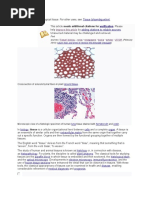 Biology Reviewer Grade 12 STEM First Semester | PDF | Meiosis | Mitosis