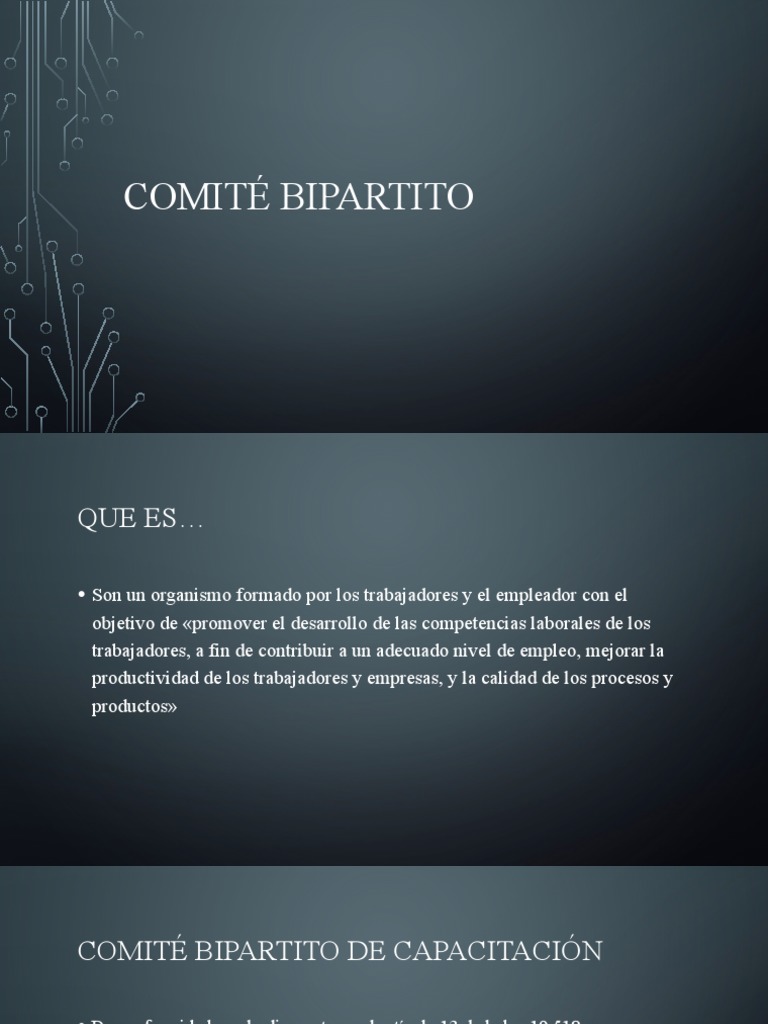 Comite Bipartito | PDF | Sindicato | Gobierno