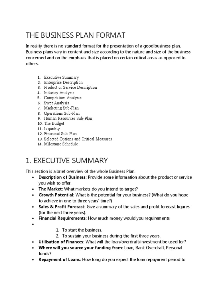 The Business Plan Format | Download Free PDF | Competition | Return On ...