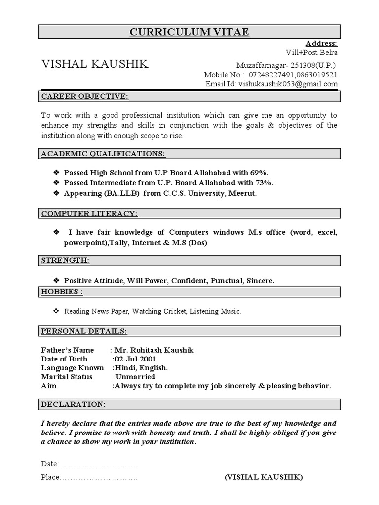 Vishal Kaushik: Curriculum Vitae | PDF