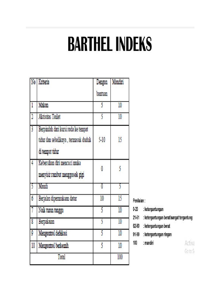 Barthel Indeks | PDF
