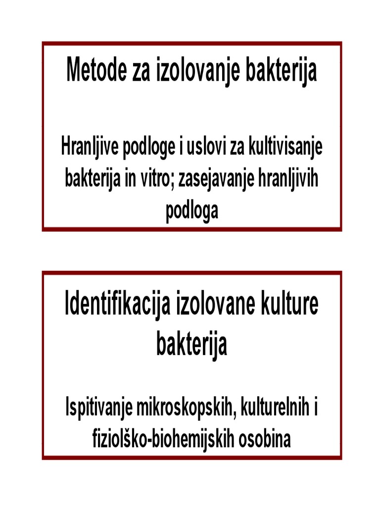 Vezba 3 - Metode Za Izolovanje Bakterija. Identifikacija Izo | PDF