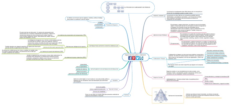 Mapa Conceptual Capitulo 2 | PDF | Gobierno E | Comercio electrónico