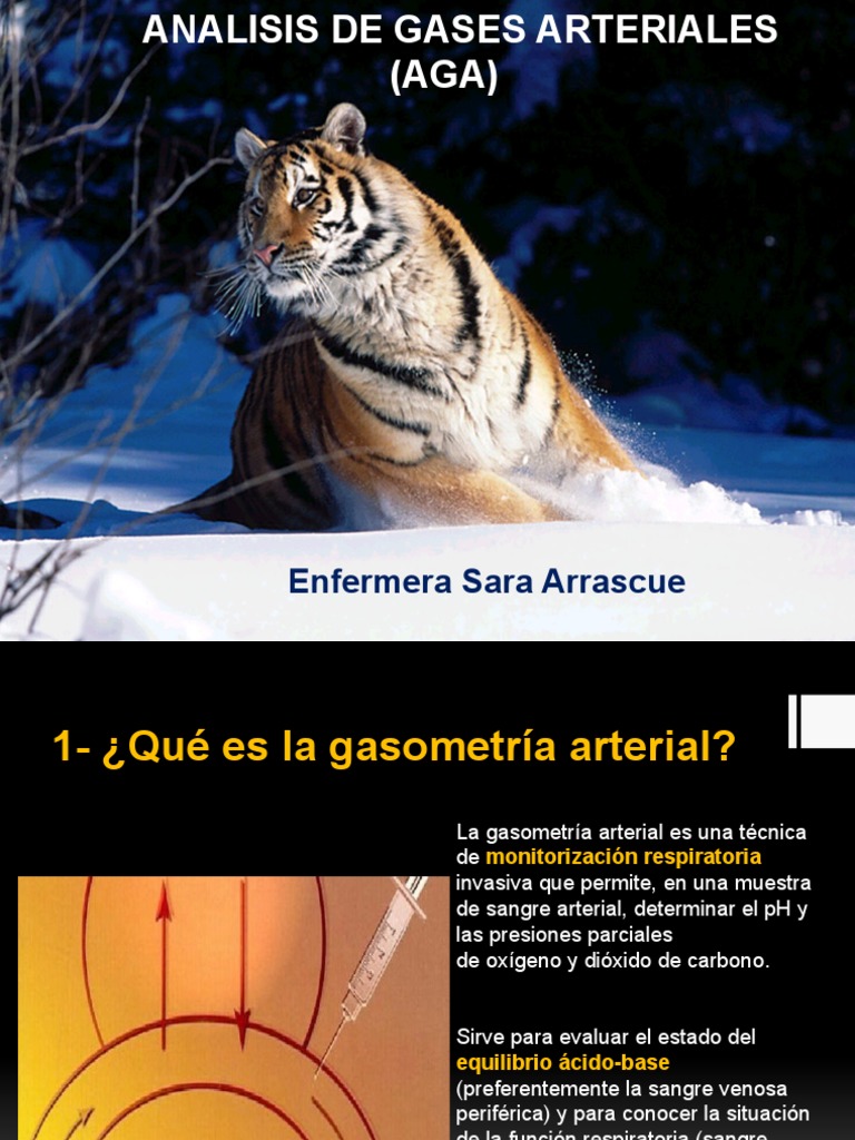 Gases Arteriales | PDF | Gases | Vena