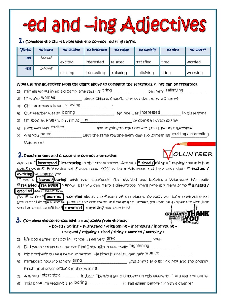 Participle Adjectives | PDF | Morphology | Linguistic Typology