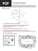 Selection and Speciation POGIL | PDF | Natural Selection | Species