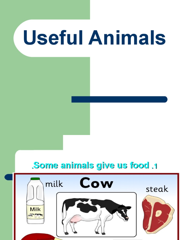 Useful Animals | PDF