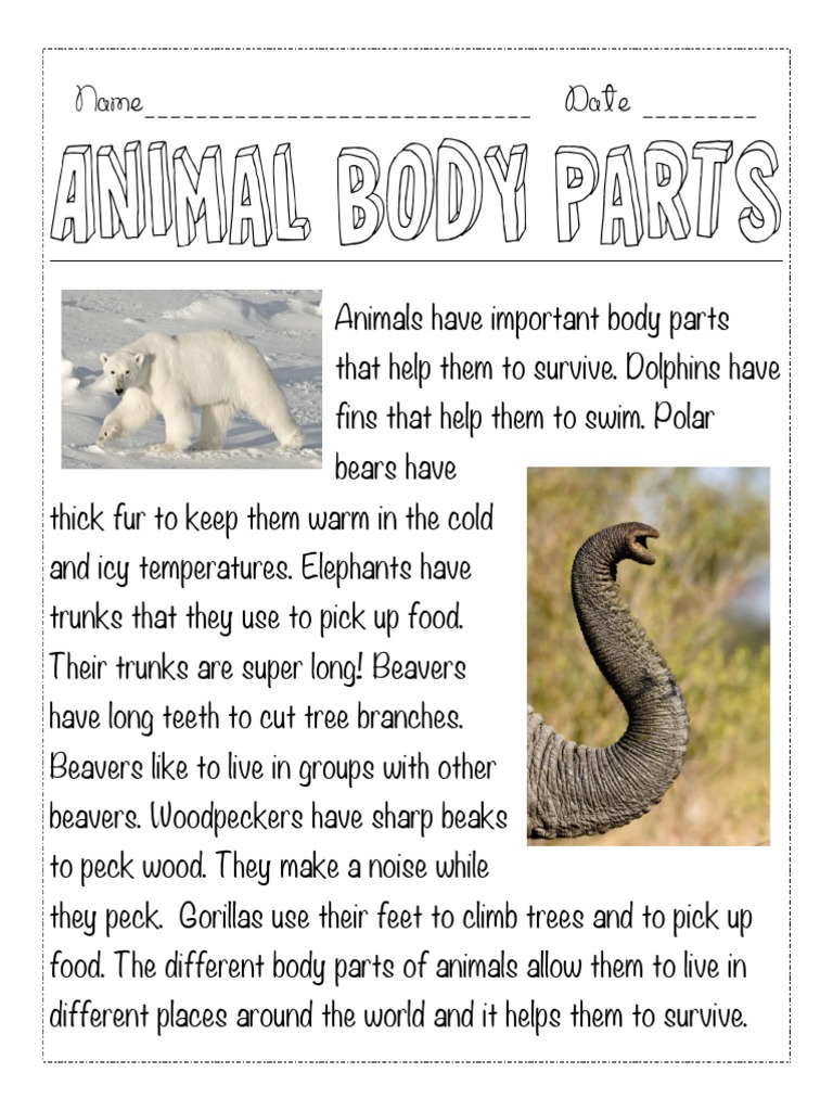 Animal Body Parts and Survival | PDF | Home & Garden