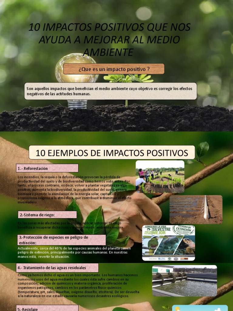 10 Impactos Positivos Que Nos Ayuda A Mejorar El Medio Ambiente (Tarea ...