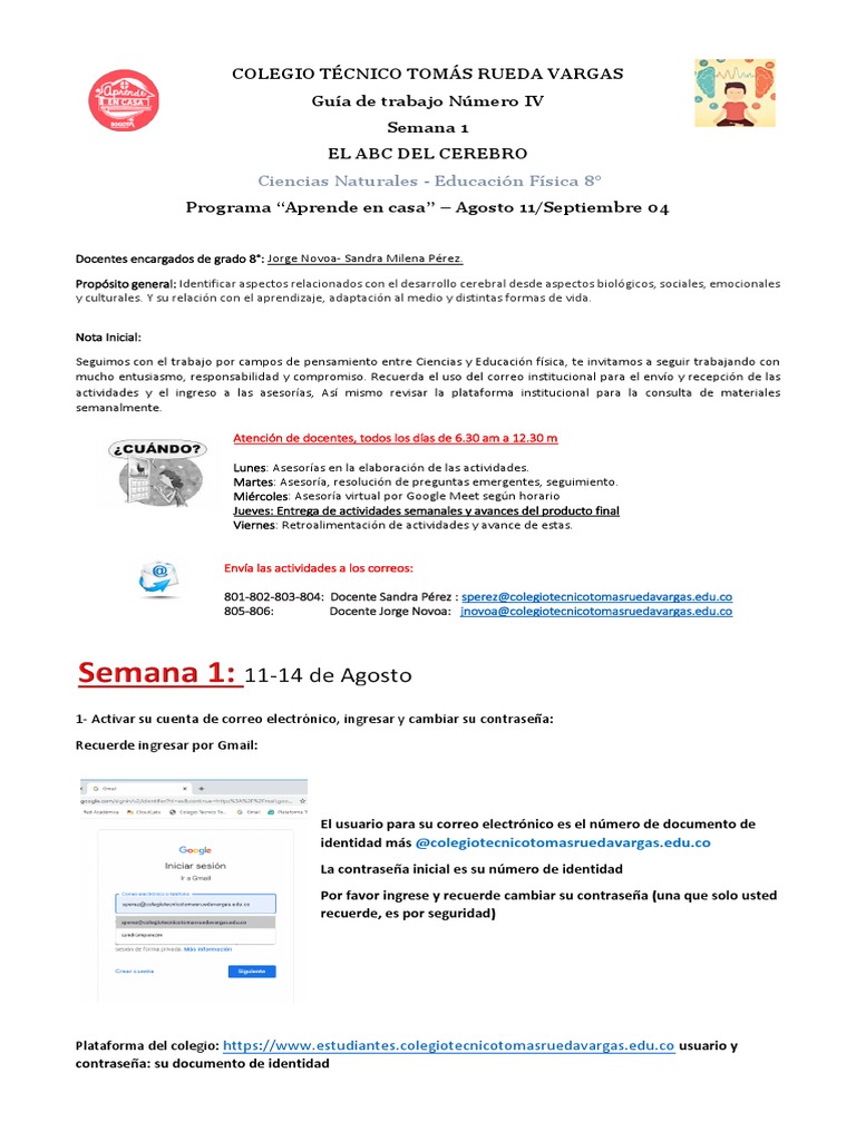8° El ABC Del Cerebro - Semana 1 | PDF | Cerebro | Cognición