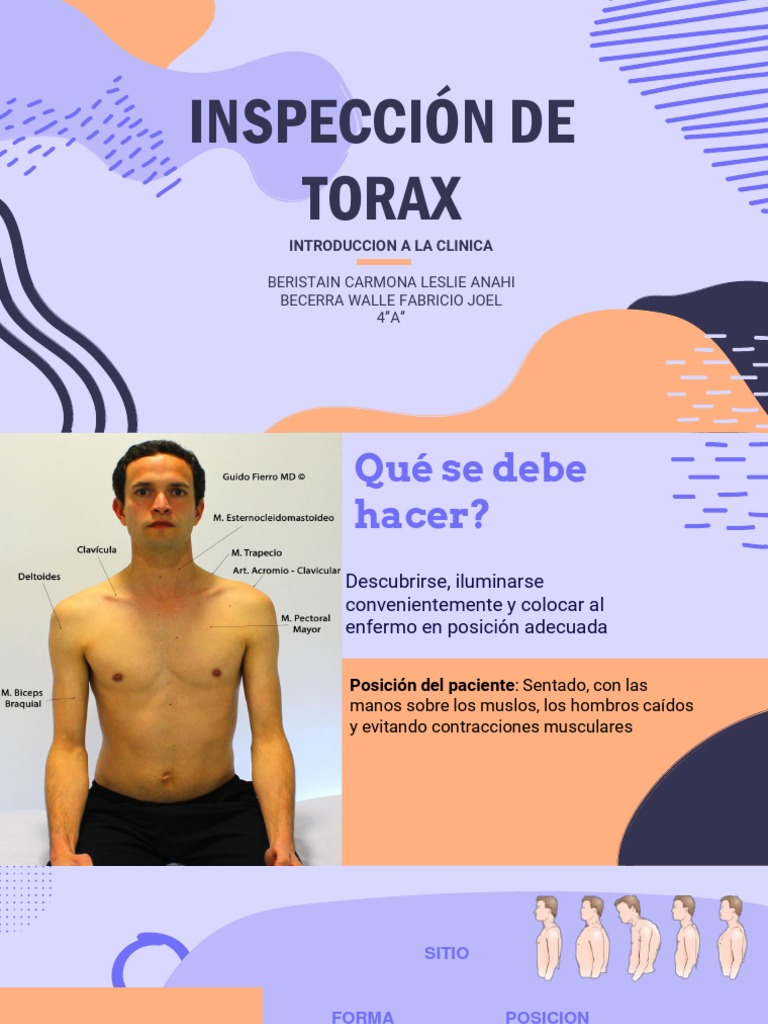 Inspeccion de Toráx | PDF | Tórax | Sistema respiratorio