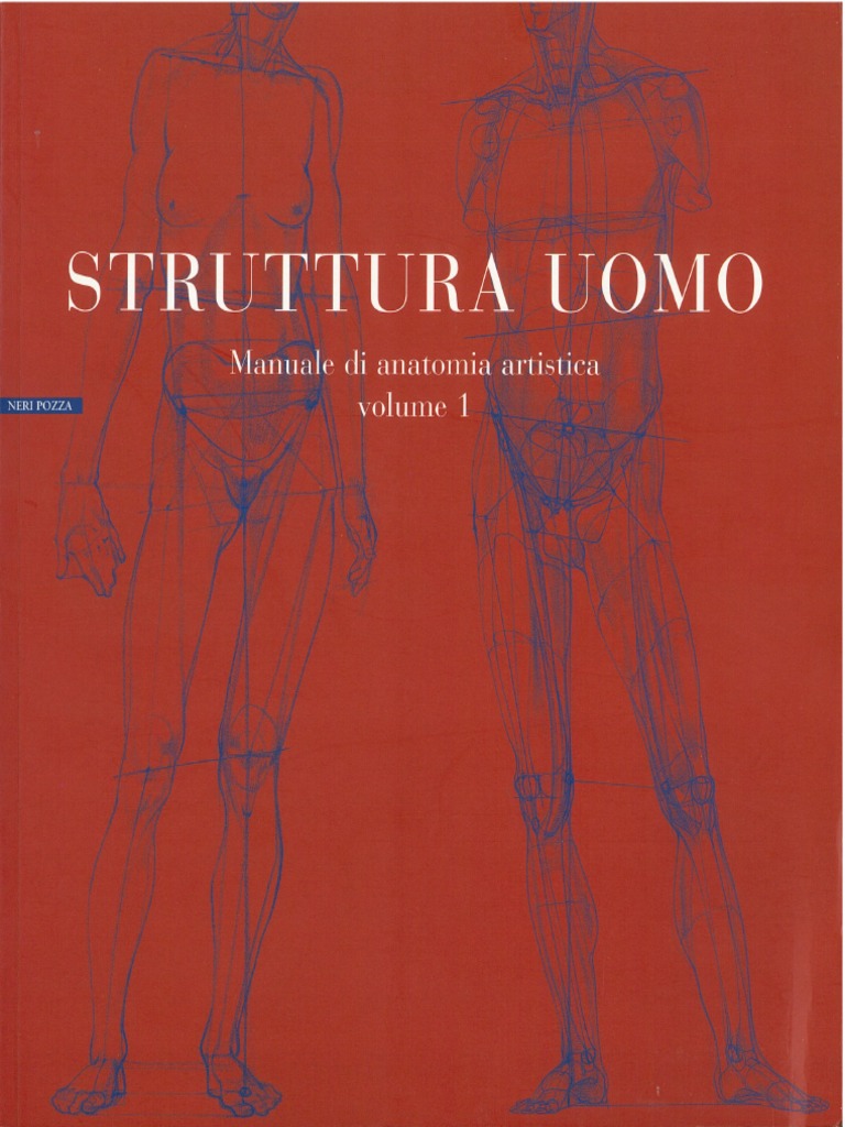 Struttura Uomo - Manuale Di Anatomia Artistica - Vol1-1 | PDF