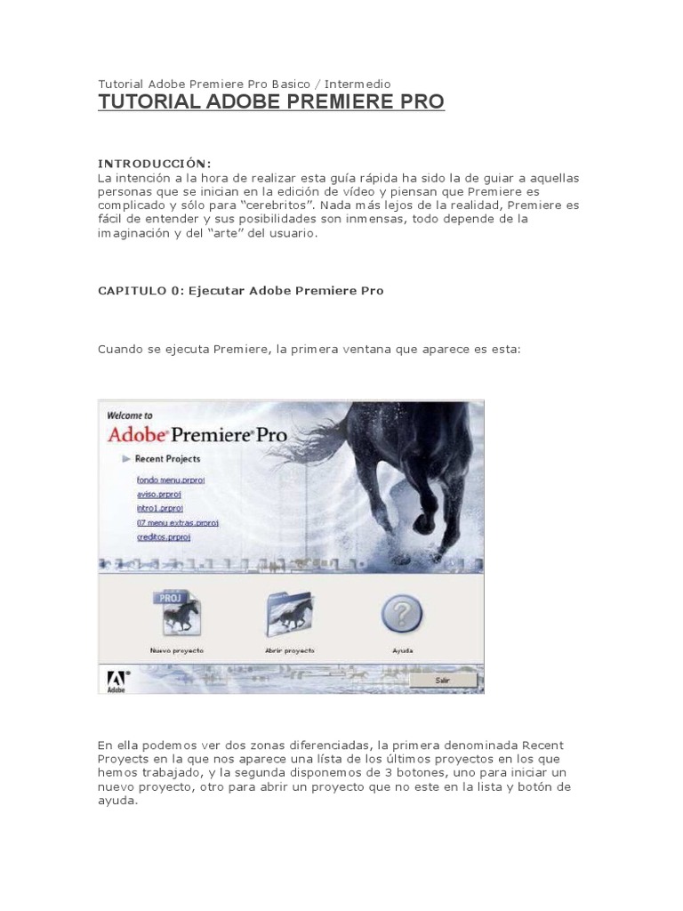 Tutorial Adobe Premiere Pro Basico | Descargar gratis PDF | Ventana ...