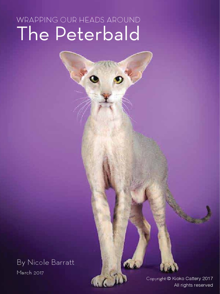 The Peterbald Article | PDF | Dominance (Genetics) | Allele
