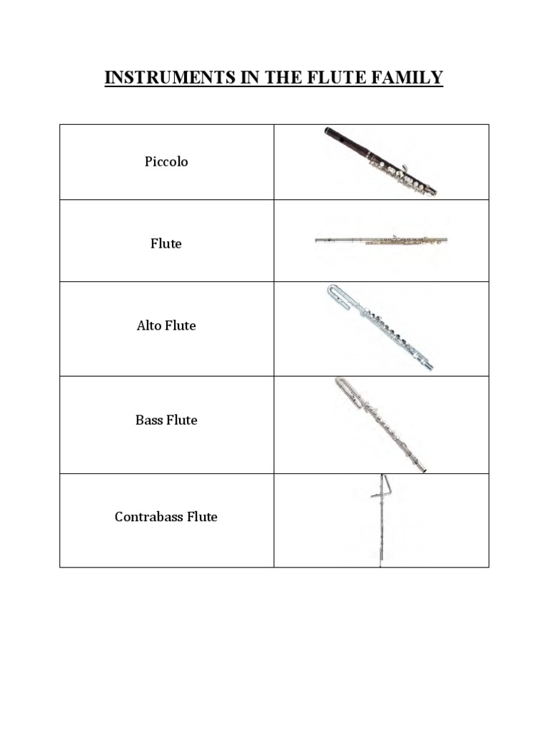Instruments in The Flute Family: Piccolo | PDF | Entertainment (General ...