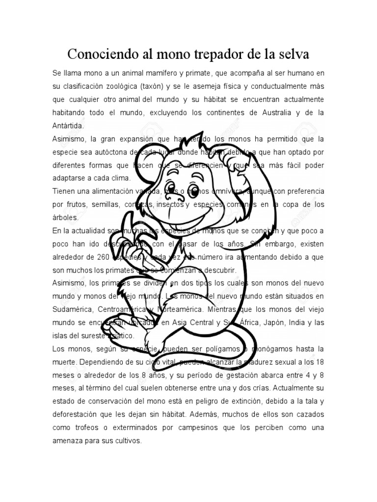Conociendo Al Mono Trepador de La Selva | PDF