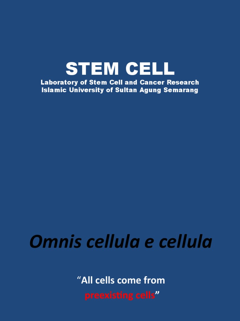 Stem Cell | PDF | Cell Potency | Stem Cell