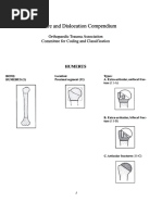 AO OTA Fracture and Dislocation Classification Leaflet | PDF | Injury ...