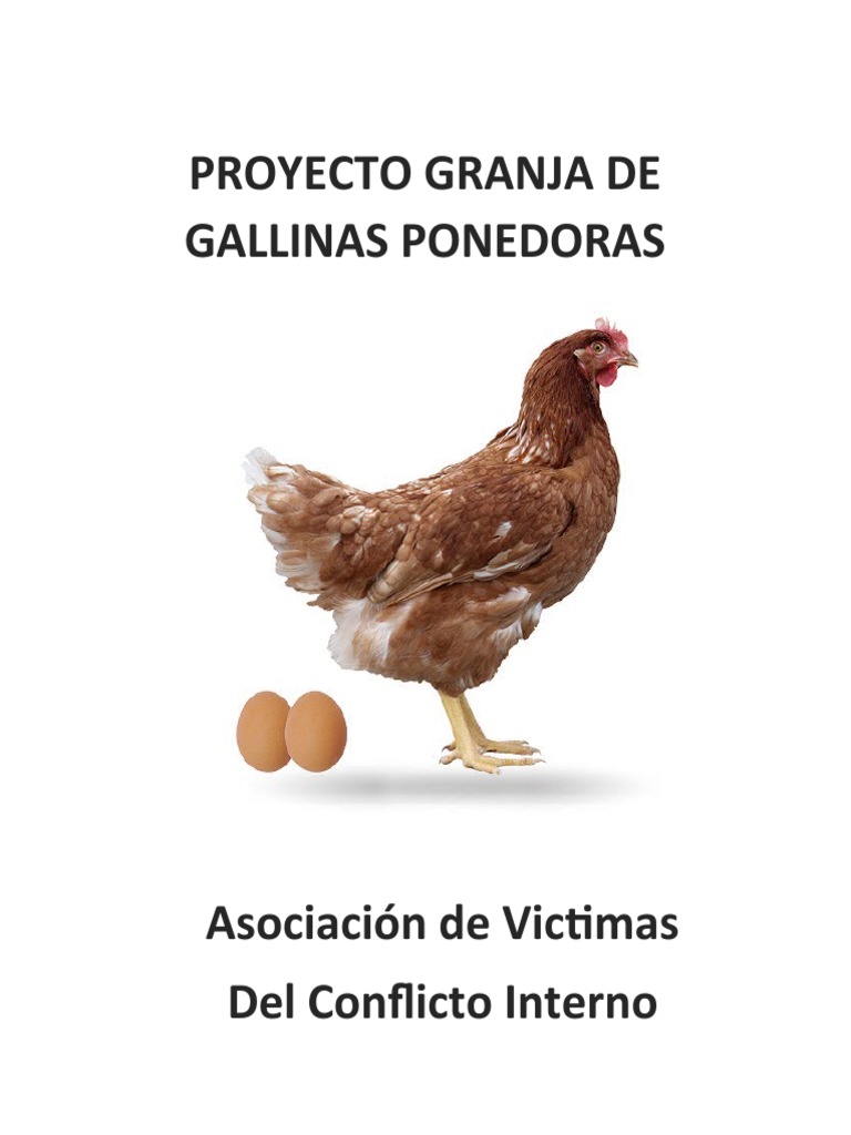 Proyecto de Gallinas Ponedoras Asociacion | PDF | Pollo | Alimentos