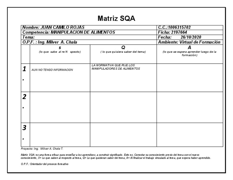 Formato Matriz Sqa | PDF