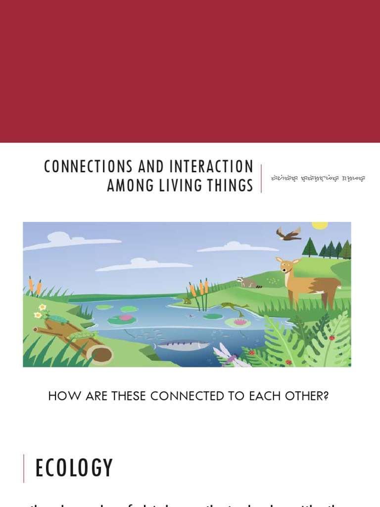 Ecology: Connections Among Living Things | PDF