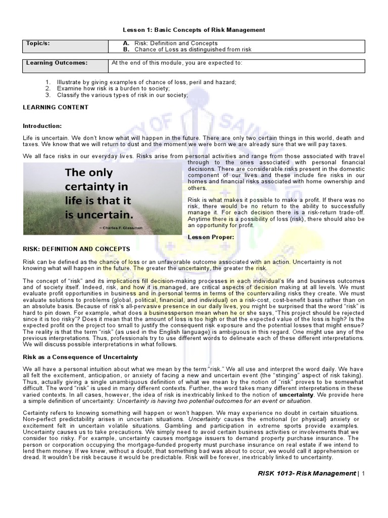 Risk Management Lesson 1 | PDF | Airport Security | Risk