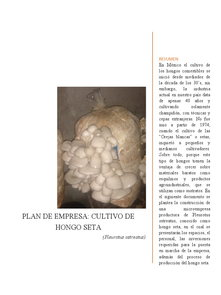Cultivo de Hongo Seta | PDF | Hongo | Siembra